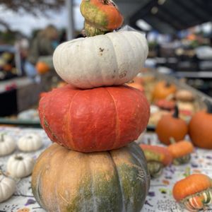 HORROCK’S FARM MARKET - Updated December 2024 - 284 Photos & 283 ...