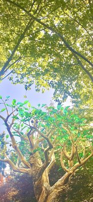 CLEARBROOK LIBRARY - Updated December 2025 - 15 Photos - 32320 George ...