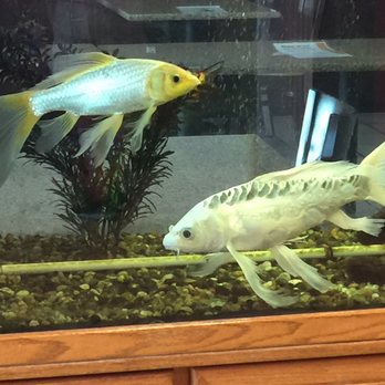 SAIGON - Updated October 2025 - 58 Photos & 92 Reviews - 4515 50th St ...