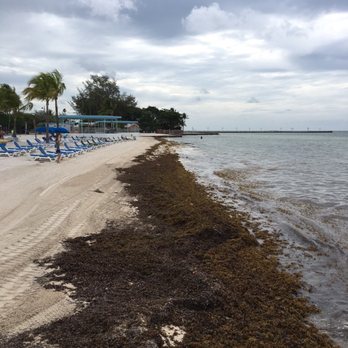 CLARENCE HIGGS MEMORIAL BEACH PARK - Updated December 2025 - 50 Photos ...