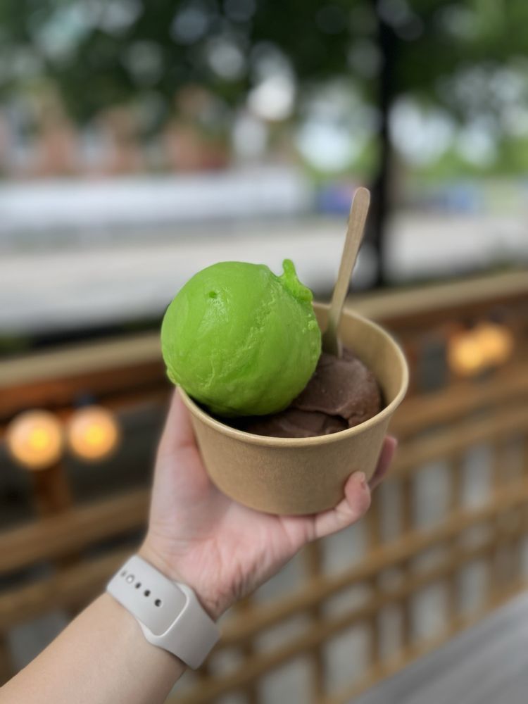 CAFÉ ZUZU - Updated October 2024 - 91 Photos & 23 Reviews - 555 Dundas ...