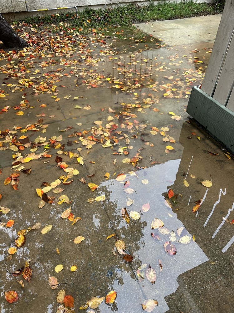 ICON REALTY SERVICES - Updated June 2024 - 18 Photos & 155 Reviews ...