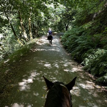 FIVE BROOKS RANCH - Updated October 2025 - 236 Photos & 394 Reviews ...