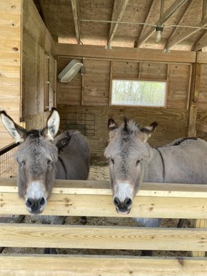 PINE GROVE ZOO - Updated October 2025 - 15 Photos - 1200 W Broadway ...