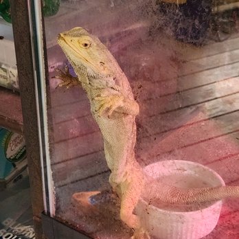 ED’S PET WORLD - Updated October 2025 - 68 Photos & 54 Reviews - 2730 ...