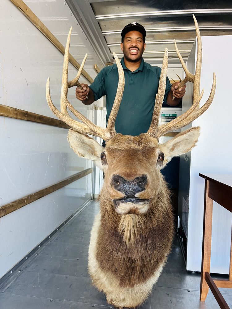 PHENOMENAL MOVERS - Updated July 2025 - Request a Quote - 275 Photos - Richmond, Virginia ...