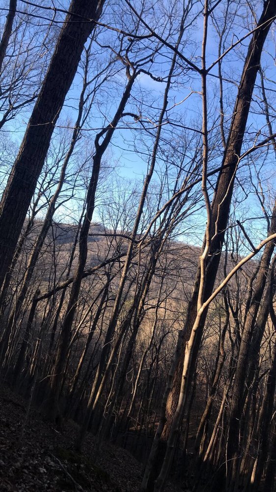 FALLS RIDGE NATURE PRESERVE - 18 Photos - Falls Ridge Rd ...