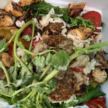 OCTOPUS FALAFEL TRUCK - Updated October 2024 - 660 Photos & 500 Reviews ...