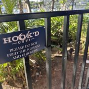 HOOK’D USVI - 166 Photos & 105 Reviews - Red Hook Rd, Red Hook, Virgin ...