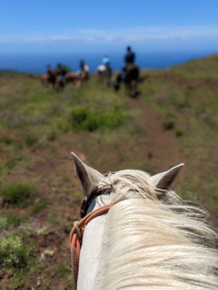 TRIPLE L RANCH MAUI - PRIVATE CUSTOM HORSEBACK RIDING - 755 Photos ...