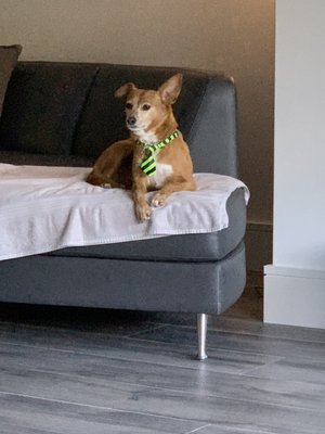 BARK ROOM - Updated March 2025 - 145 Photos & 122 Reviews - 65 S ...