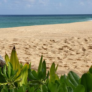 KA’A’AWA BEACH PARK - Updated July 2025 - 90 Photos & 22 Reviews - 51 ...