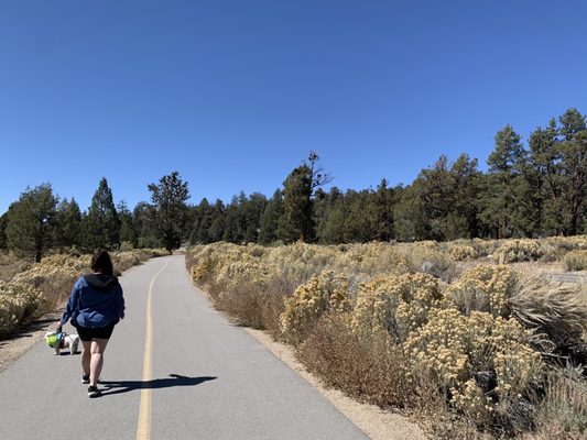 ALPINE PEDAL PATH - 93 Photos & 54 Reviews - 40971 N Shore Dr, Big Bear ...