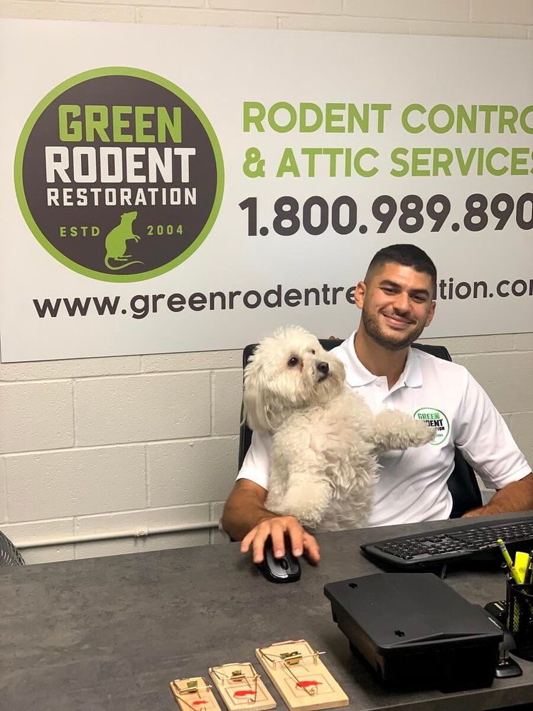GREEN RODENT RESTORATION - Request a Quote - 29870 North Skokie Hwy ...