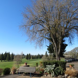 CHARBONNEAU GOLF CLUB - 21 Photos & 20 Reviews - 32020 SW Charbonneau ...