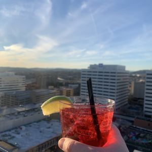 RADIUS ROOFTOP LOUNGE - 37 Photos & 24 Reviews - Cocktail Bars - 507 S ...