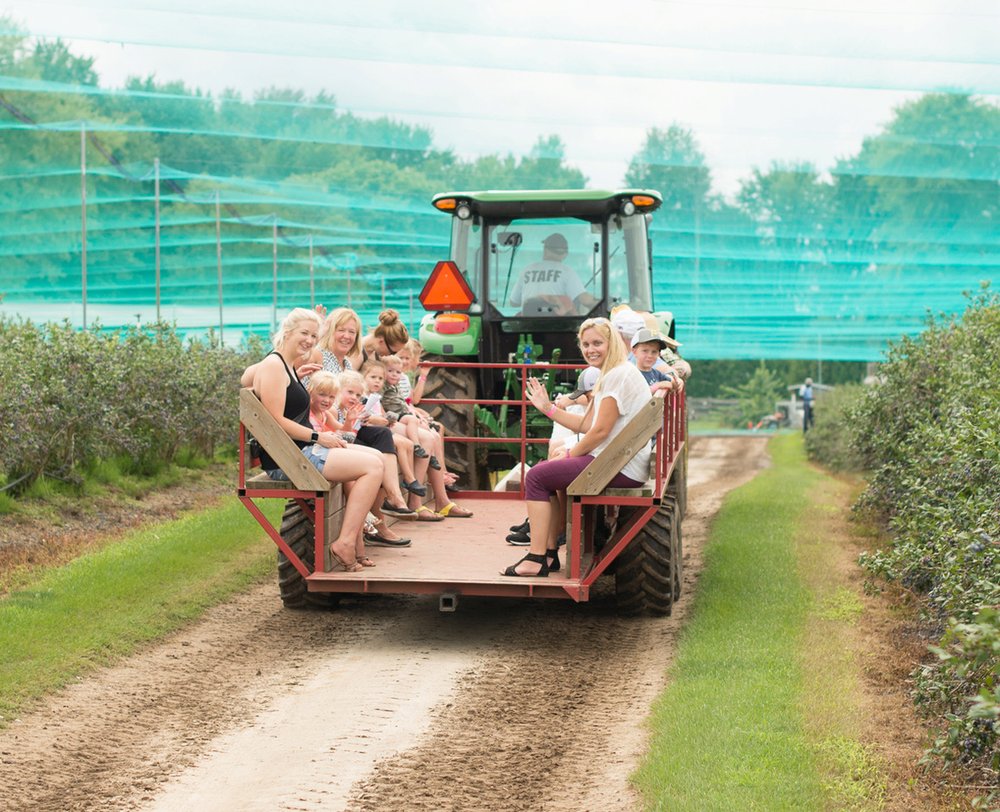 KUSTERMANS ADVENTURE FARM - Updated October 2025 - 25 Photos - 23188 ...