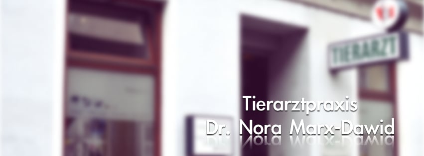 TIERARZTPRAXIS DR. NORA MARX-DAWID - Updated October 2024 - Request ...