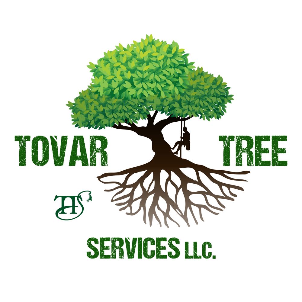 TOVAR TREE SERVICES - Updated December 2024 - Export, Pennsylvania ...