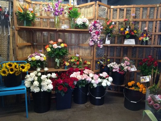 CACTUS FLOWER FLORISTS - 45 Photos & 67 Reviews - Phoenix, Arizona ...