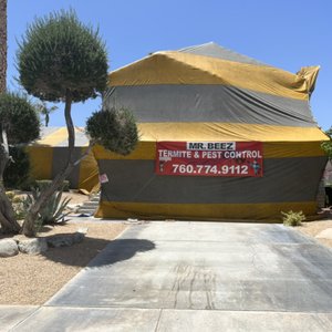 PURCOR PEST SOLUTIONS - Updated August 2025 - 34 Photos & 72 Reviews ...