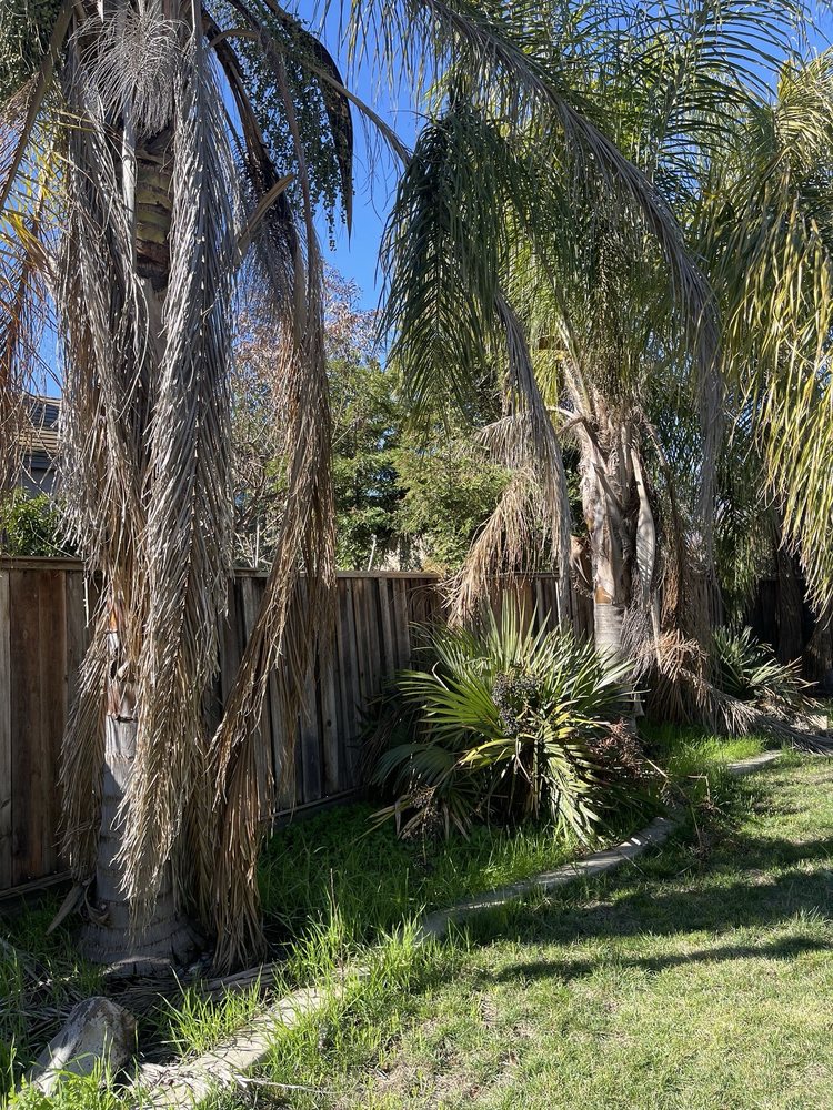 PABLO’S LANDSCAPING SERVICES - Updated January 2026 - 100 Photos & 14 ...