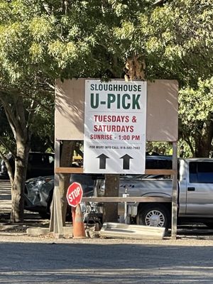 SLOUGHHOUSE CORN - Updated December 2025 - 66 Photos & 37 Reviews ...