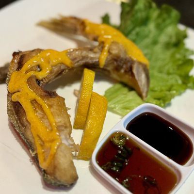 MT FUJI - Updated January 2026 - 212 Photos & 226 Reviews - 18260 ...