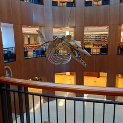 MARLENE & NATHAN ADDLESTONE LIBRARY - 35 Photos - 205 Calhoun St ...