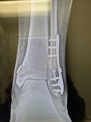 JUAN G DIAZ, DPM - Updated October 2025 - 13 Photos - 11760 SW 40th St ...