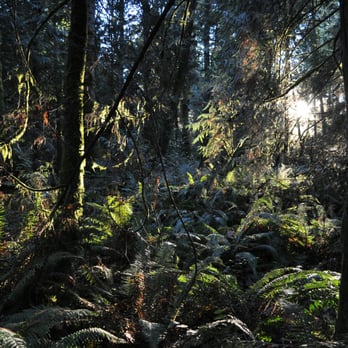 WONDERWOOD PARK - Updated July 2024 - 32 Photos & 13 Reviews - 5304 32nd Ave, Lacey, Washington ...