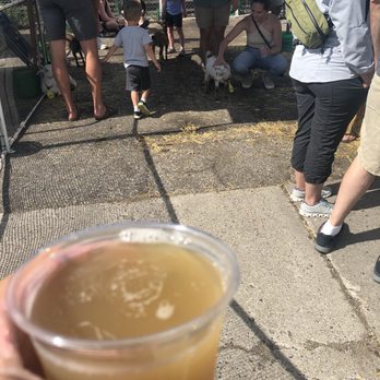 INSIGHT BREWING - Updated May 2025 - 205 Photos & 150 Reviews - 2821 E ...