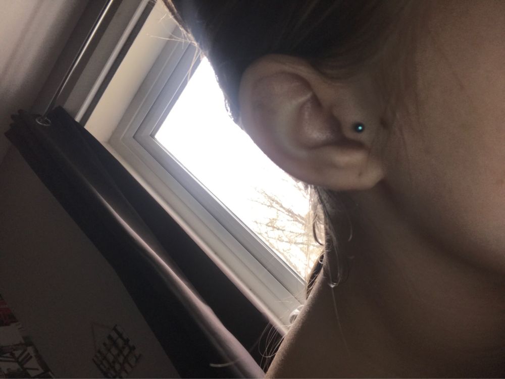 THE SHARP PRACTICE - 13 Photos - 2-4 Catherine Street, Salisbury, Wiltshire, United Kingdom ...