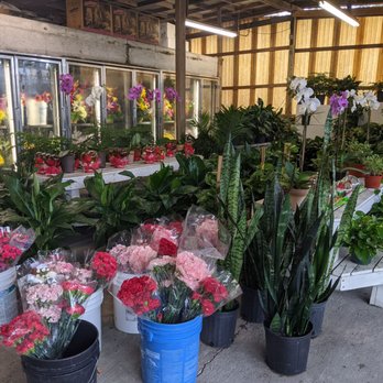 COUNTRY ROSE GARDEN - Updated December 2025 - 35 Photos & 34 Reviews ...