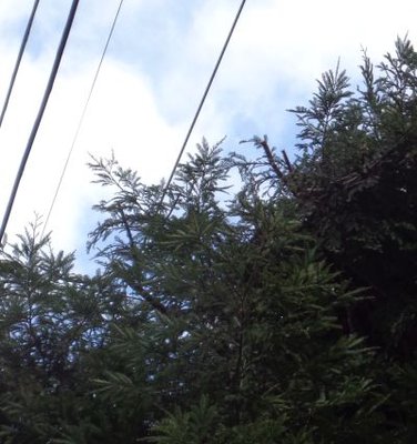 MOUNTAIN F ENTERPRISES - Updated December 2025 - 10 Photos & 43 Reviews ...