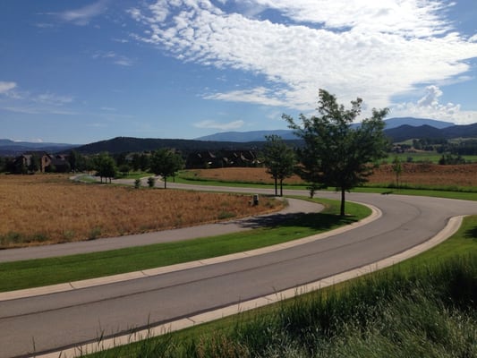 BACA’S TREES - Updated October 2025 - 45 Reviews - 7933 Edith Blvd NE ...