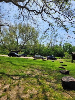 PINCHOT SYCAMORE TREE PARK - Updated May 2026 - 91 Photos & 12 Reviews ...