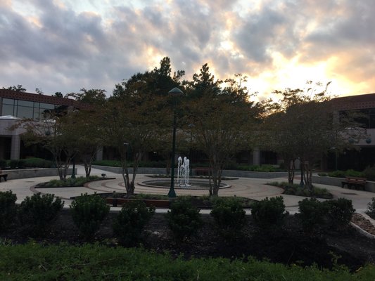 LONE STAR COLLEGE - MONTGOMERY - Updated December 2025 - 18 Photos & 19 ...