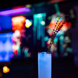 ACEBOUNCE - Updated October 2025 - 570 Photos & 318 Reviews - 230 N ...