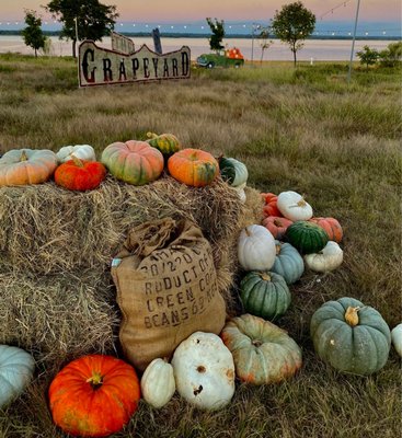 MEADOWMERE PARK - Updated October 2025 - 208 Photos & 23 Reviews - 3000 ...