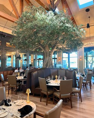 36 DEGREES NORTH - Updated December 2025 - 65 Photos & 36 Reviews ...