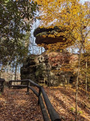 NATURAL BRIDGE STATE RESORT PARK - Updated October 2025 - 258 Photos ...