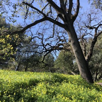 SABERCAT CREEK TRAIL - Updated August 2025 - 287 Photos & 24 Reviews ...