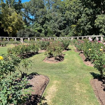 RALEIGH ROSE GARDEN - Updated September 2025 - 185 Photos & 23 Reviews ...