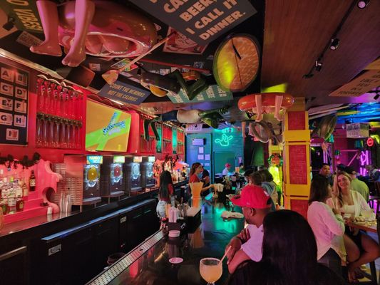 SENOR FROG’S - Updated October 2025 - 61 Photos & 36 Reviews - 1402 N ...