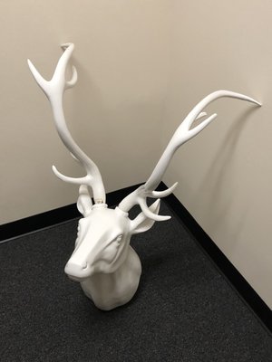 BALLARD ELKS LODGE NO 827 - Updated October 2024 - 29 Photos - 6411 ...