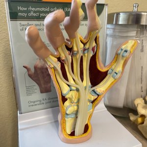 AMITY NEUROLOGY - Updated October 2025 - 500 Damonte Ranch Pkwy, Reno, Nevada - Neurologist ...