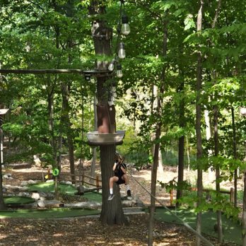 TREE RUNNER ADVENTURE PARK - Updated November 2025 - 150 Photos & 171 ...