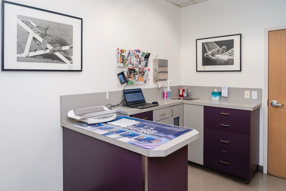 CASCADE VETERINARY CENTER - Updated January 2026 - 25 Photos & 43 ...