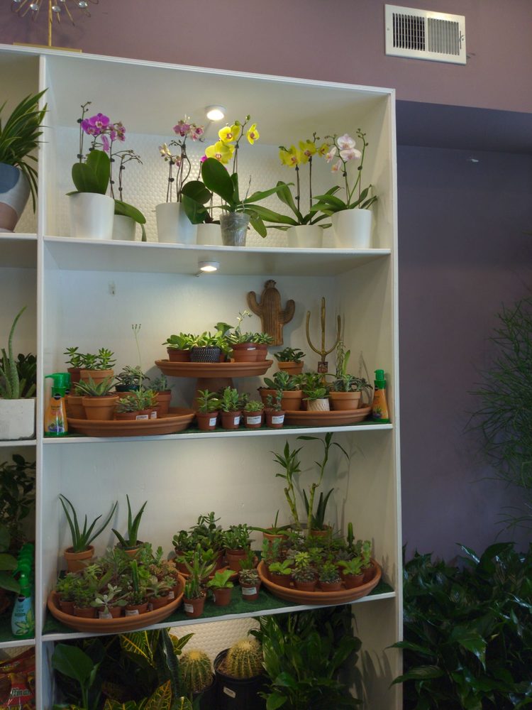 LEE’S FLOWER AND CARD SHOP - Updated September 2025 - 92 Photos & 121 ...